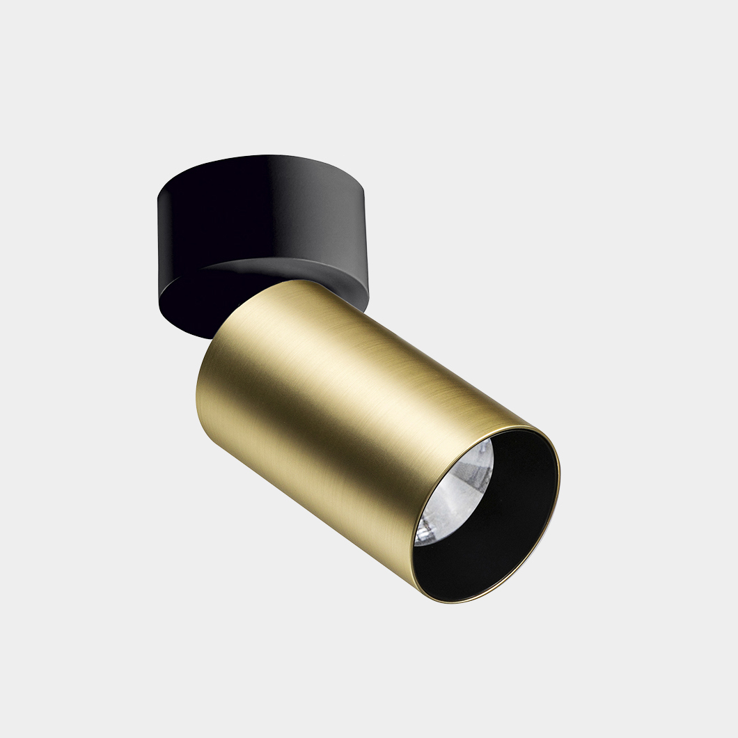 Dub Luce Pointer LED Surface Mounted Spotlight | Darklight Design | Lighting Design & Supply